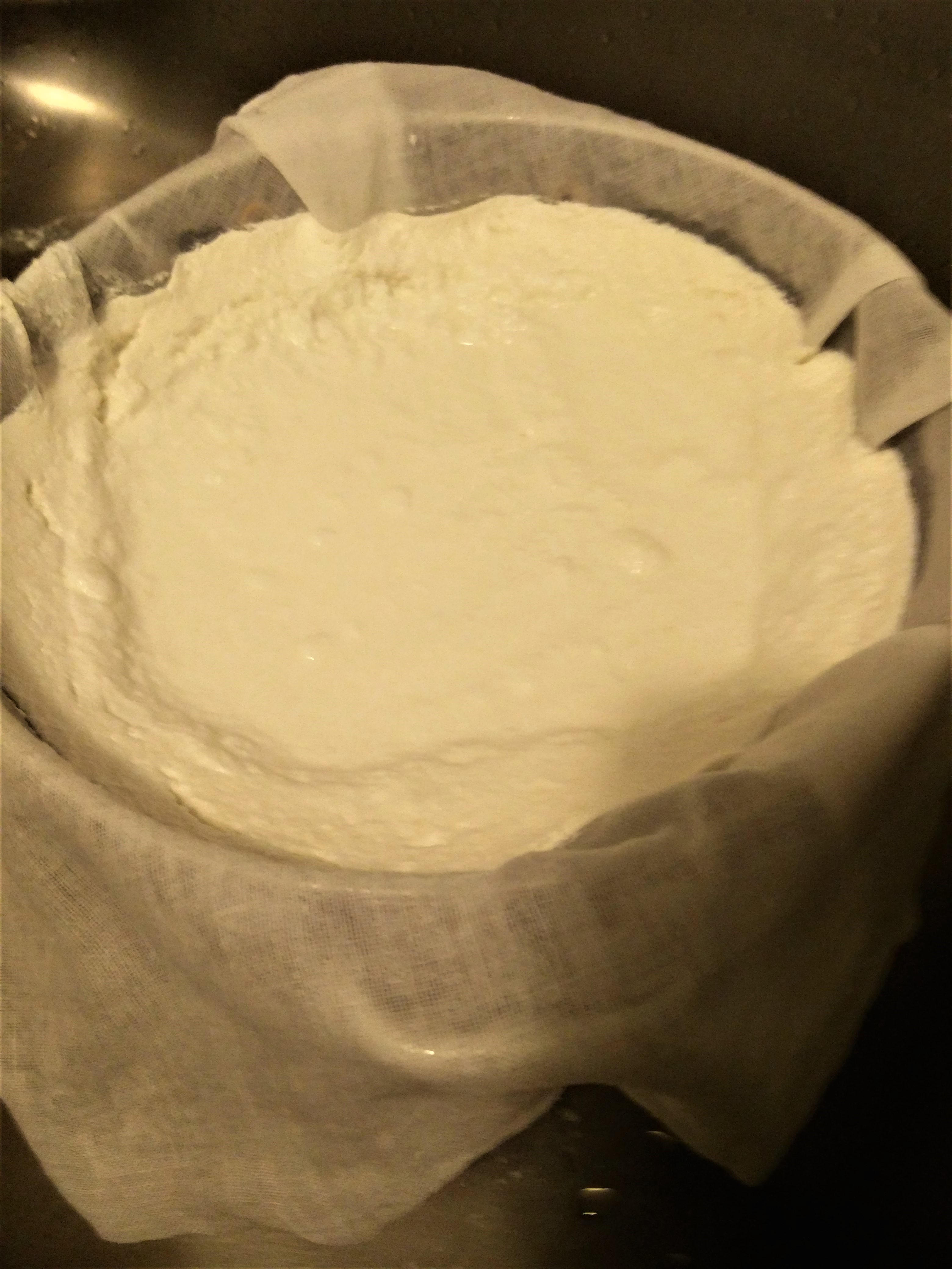 Cuisine Albanaise : la recette du Gjizë – The E world